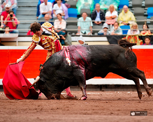 Tediosa novillada en Bilbao – Avance Taurino